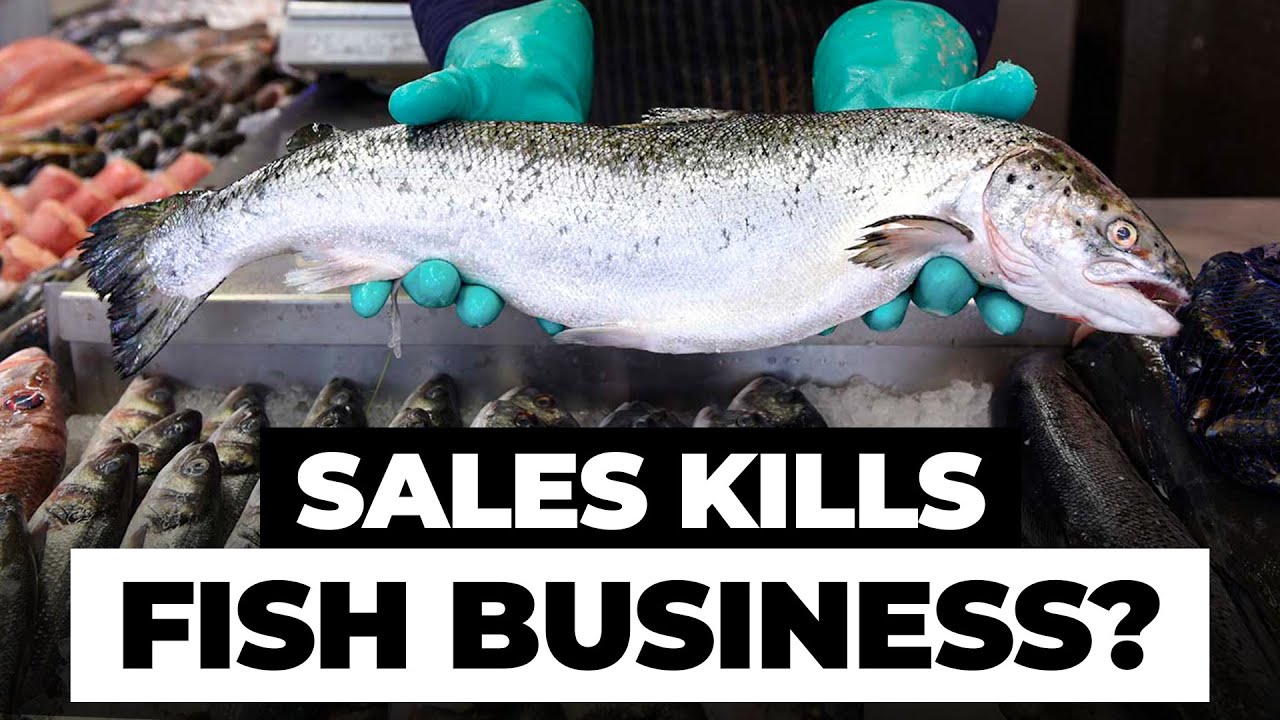 The #1 Reason Why 90% of RAS Fish Farms Fail. And How You Can Avoid It ...