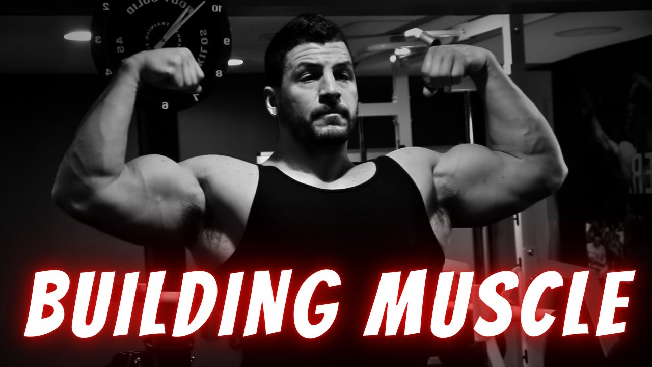 Building Muscle! - YouTube
