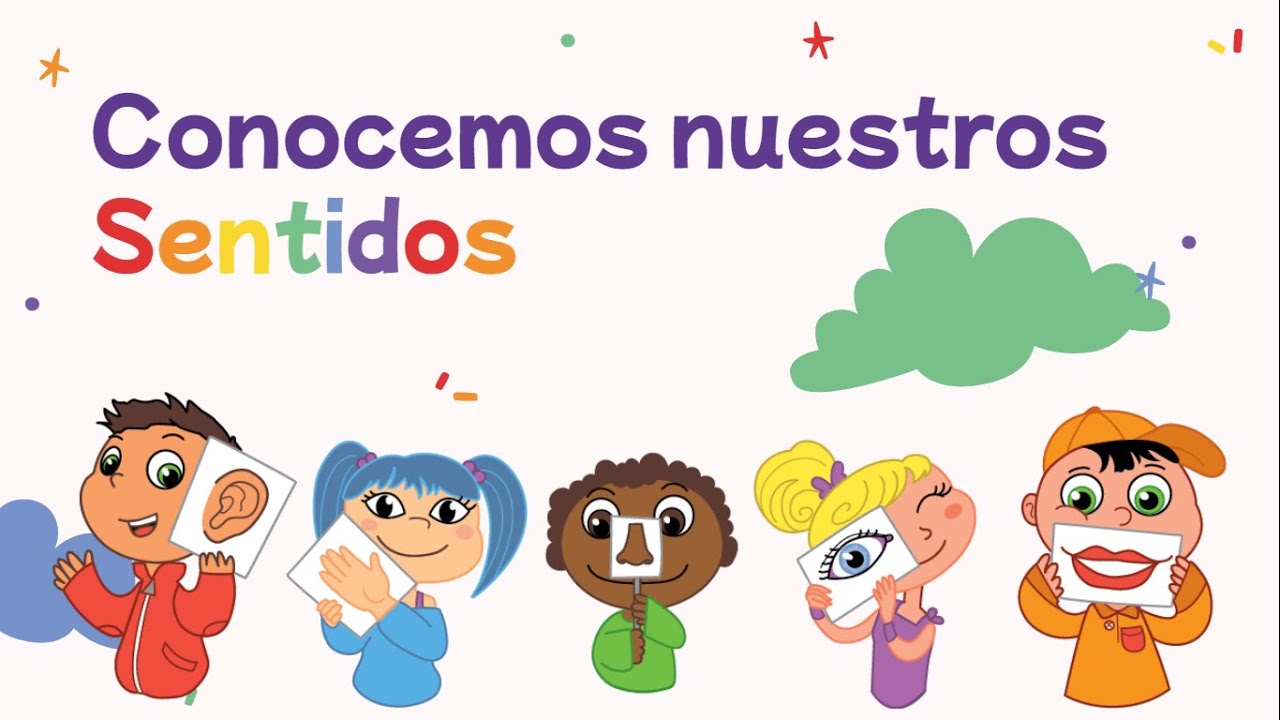 Los cinco sentidos - Canción infantil - YouTube