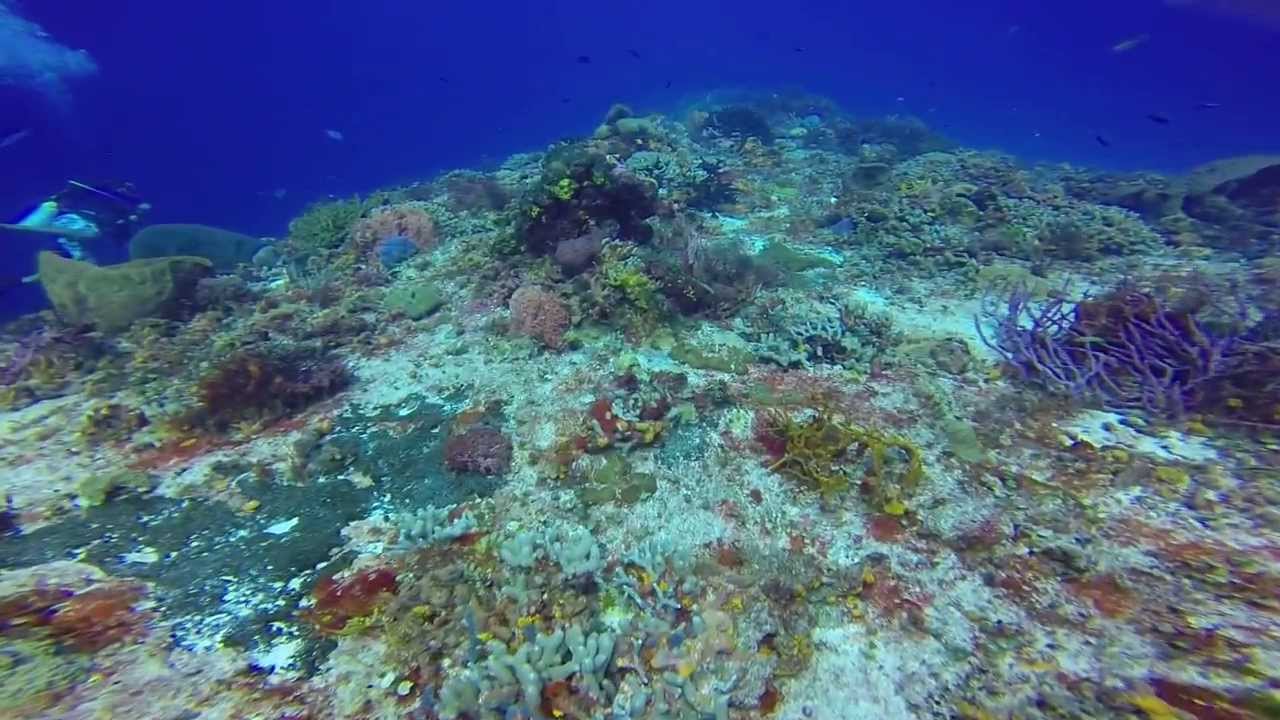 Santa Rosa Wall - Cozumel Mexico - YouTube