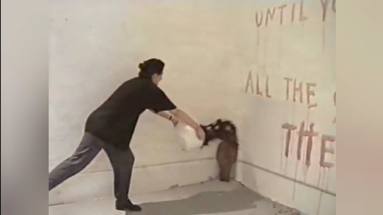 Marina Abramovic compilation, spirit cooking and other mad things ...