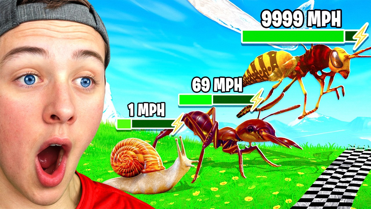Reacting To FASTEST INSECT SPEED COMPARISON - YouTube