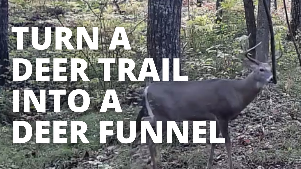 How I Make A Cheap Easy Deer Funnel - YouTube