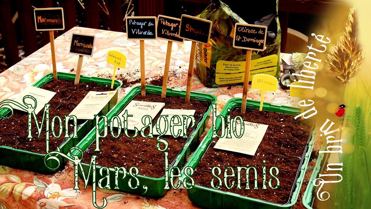 🌿Mon potager bio - Mars, les semis🌱 - YouTube