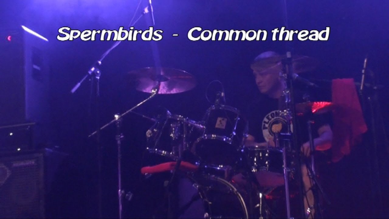 Spermbirds - Common thread (live) - YouTube