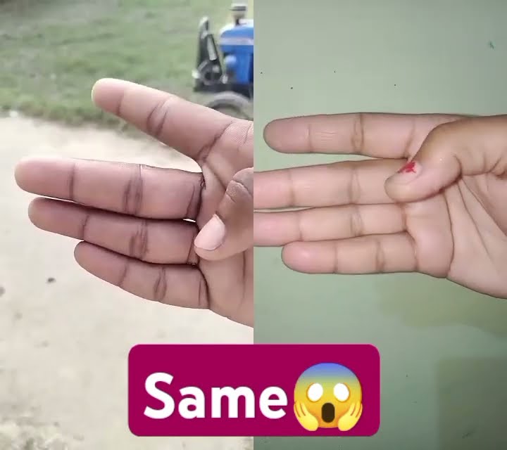 #same too same😱#viral#rendingvideo - YouTube