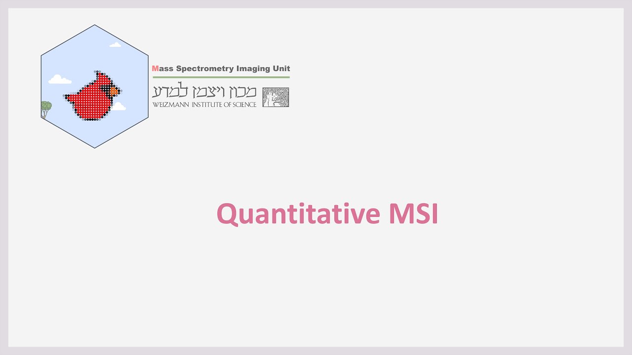 ShinyCardinal Video Tutorial (8): ROI Analysis - IS-based quantification - YouTube