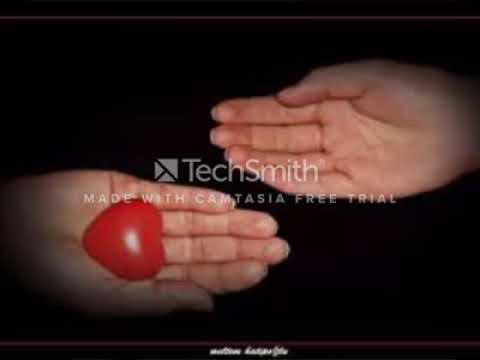 Al ömrümü koy ömrünün üstüne