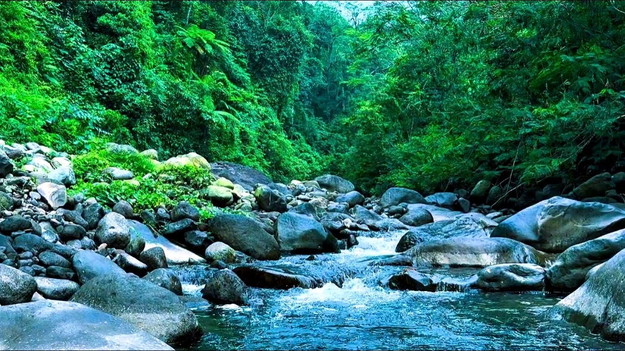 Calming River Sounds for Sleep ‼️ Calming Nature Sounds - YouTube