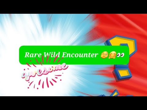 Pokemon Go *Rare Wild Encounter* Series. What's your rarest, Wild Spawn ...