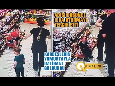ABİSİ YUMURTALARIN ÜSTÜNE DÜŞÜNCE, KARDEŞİ YUMURTALARIN ÜSTÜNE OTURDU