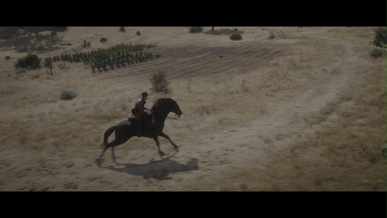 Red Dead Redemption 2 | John Marston | Ranch Life - YouTube