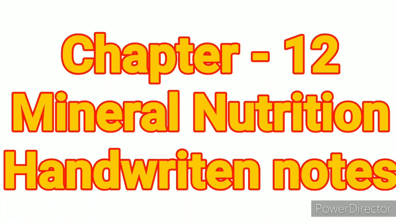 Mineral Nutrition chapter 12 class 11th biology handwritten notes pdf ...