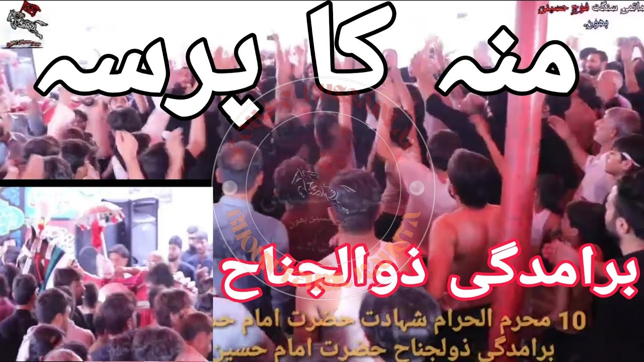 Bramdagi Zuljanah HAZRAT IMAM HUSSAIN A.S || 10 muharam || Matam he ...