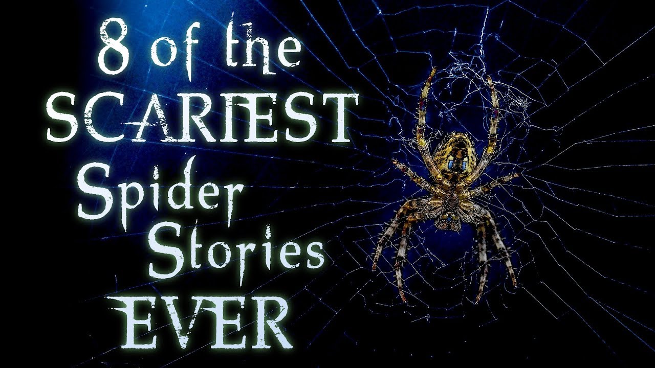 8 SCARY SPIDER HORROR STORIES - YouTube