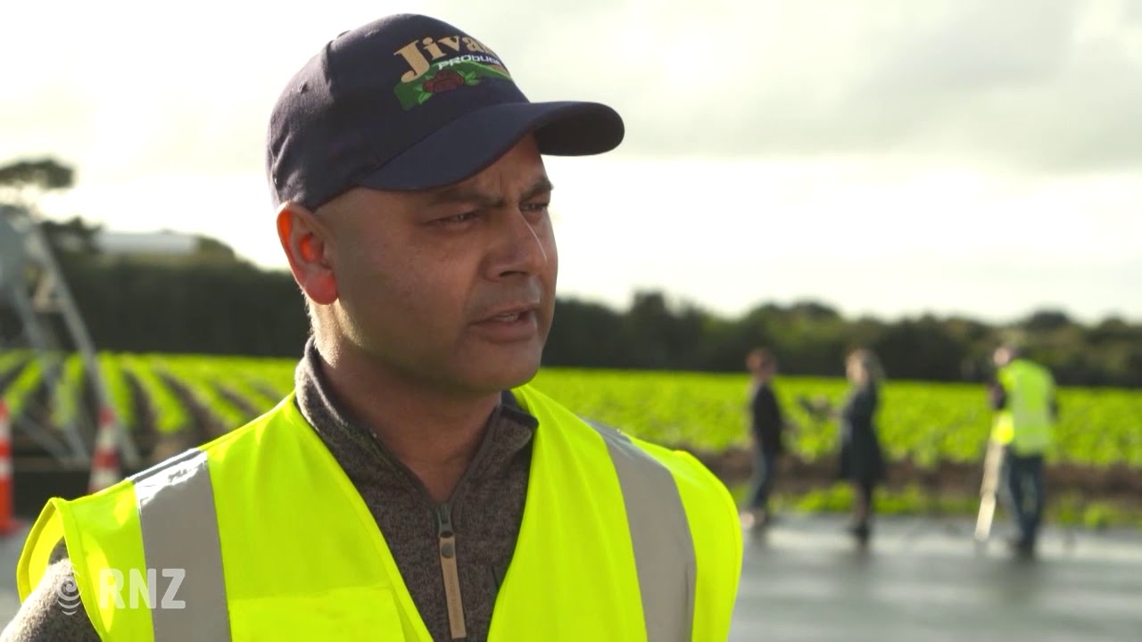 Pukekohe farmer relieved as land protected from development - YouTube