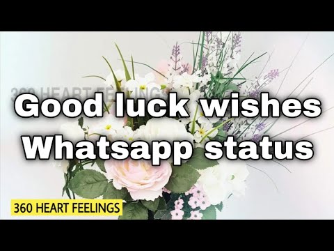 Good luck wishes whatsapp status | Say all the best to friend | good luck wishes for someone