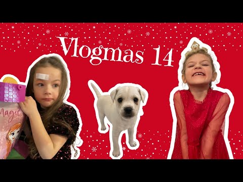 Vlogmas 14 #14 - YouTube