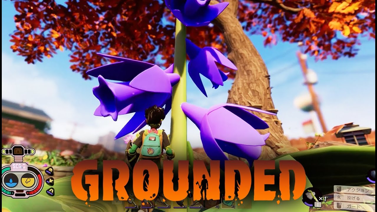 #2 Grounded 2022 11 26 - YouTube