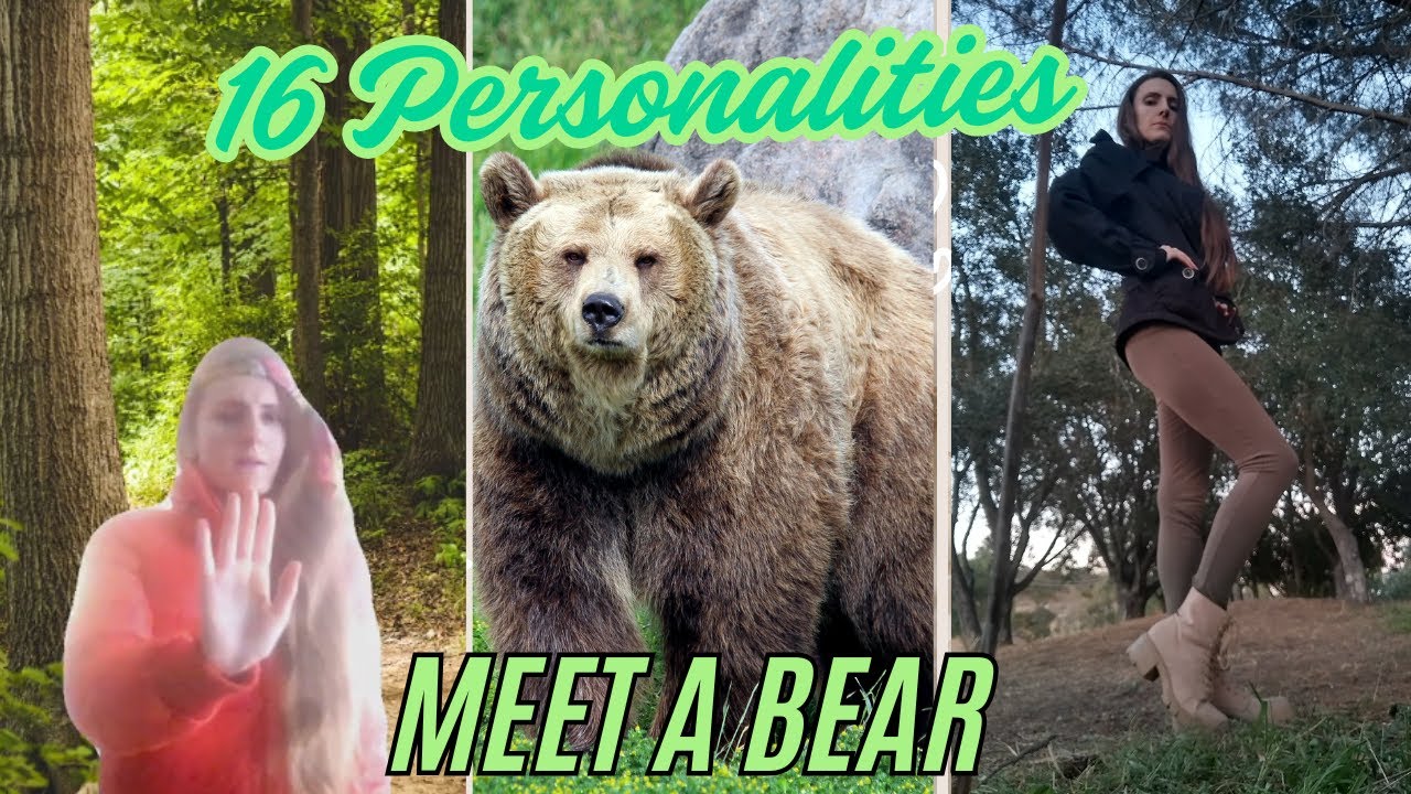What Happens When 16 Personalities Meet a Wild Bear - YouTube