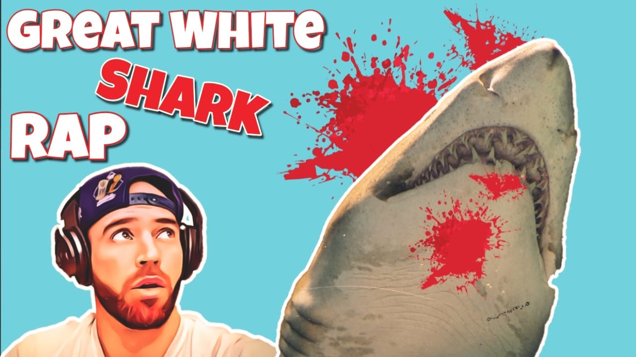 Great White Sharks Rap 🎵 (FUNdamental RAPS) A FUN way to Learn About ...