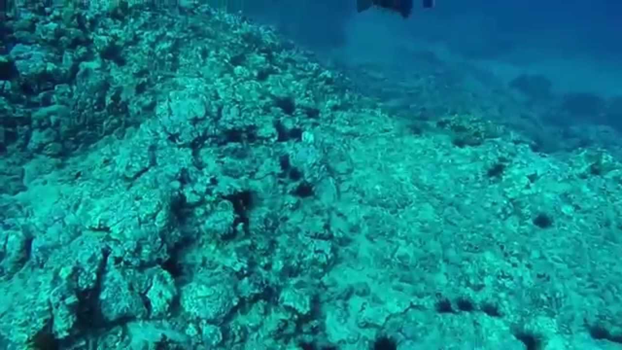 Palm Mar Tenerife Dive - Part 1 - YouTube