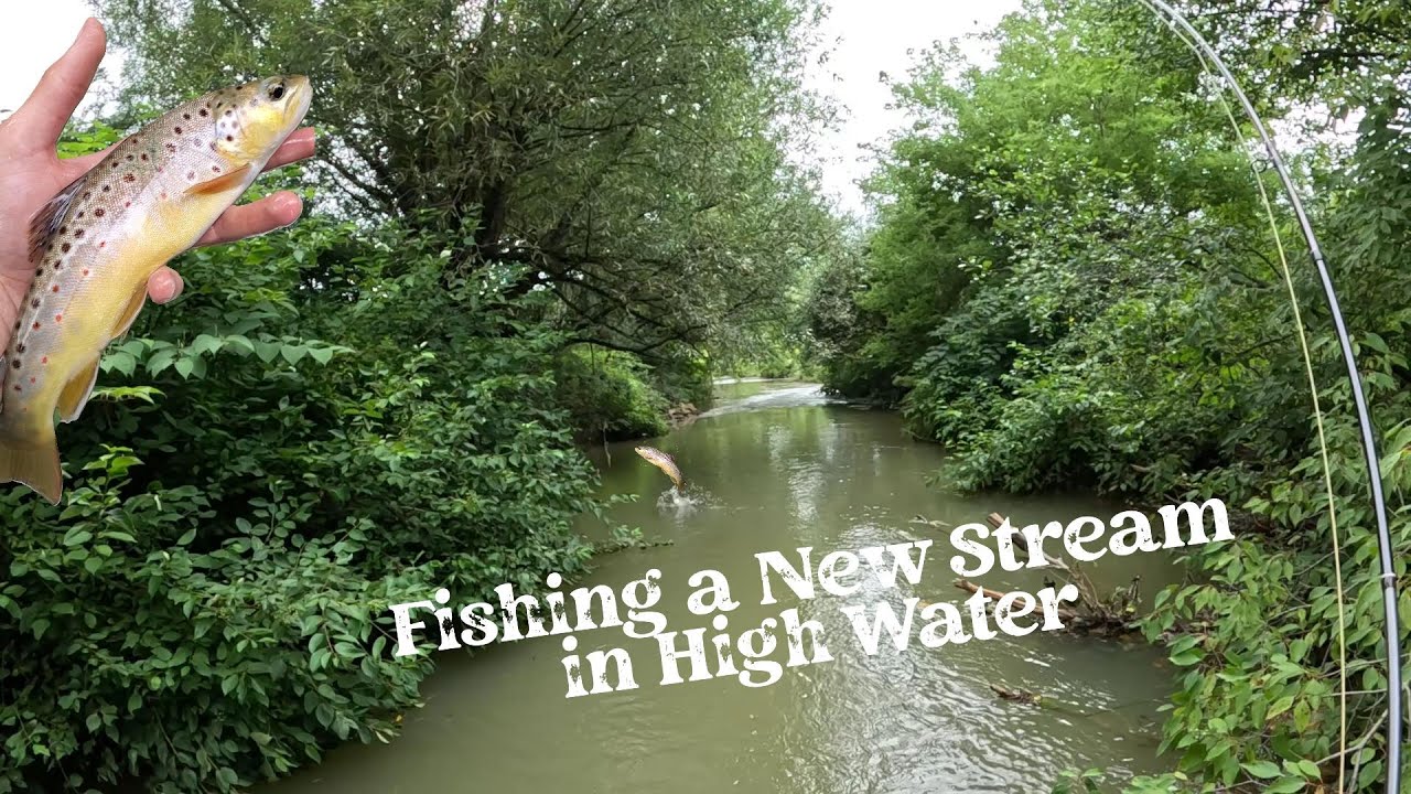 Exploring a NEW Wild Trout Stream! - YouTube
