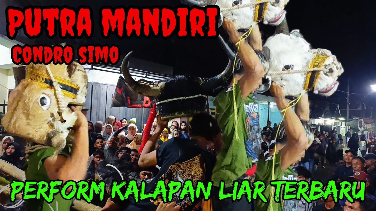 Kalapan liar..🔥PUTRA MANDIRI CONDROSIMO🔥terbaru live kemantren - jabung ...