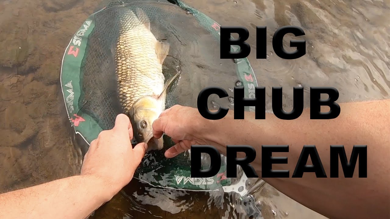 River Chub Fishing - Trotting Bread Flake Part 1 - YouTube