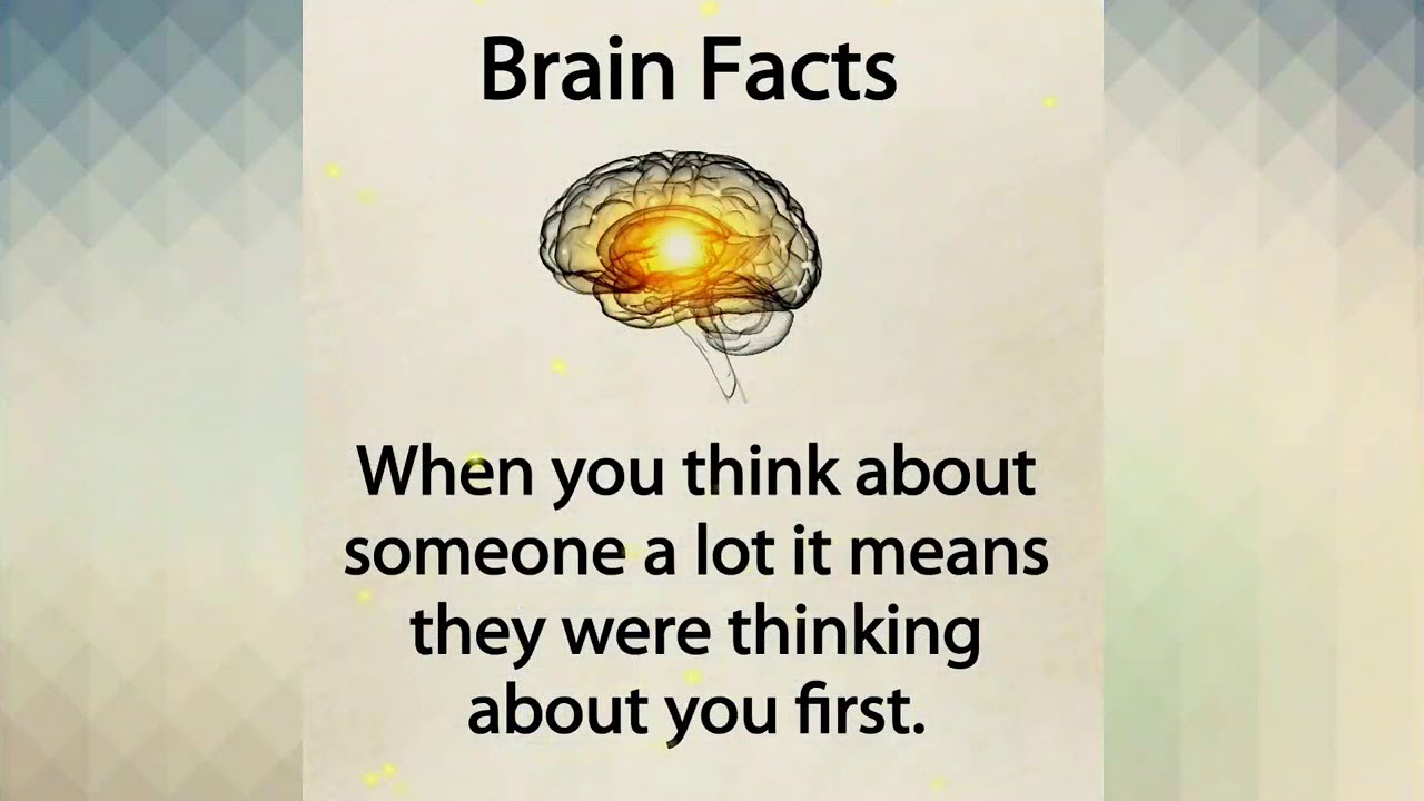 Crazy Brain: Facts TEN.1 - YouTube