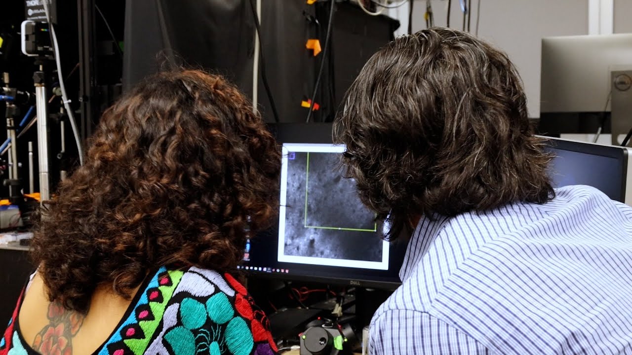 Brain Development Research: The Dr. Carlos Portera-Cailliau Lab - YouTube