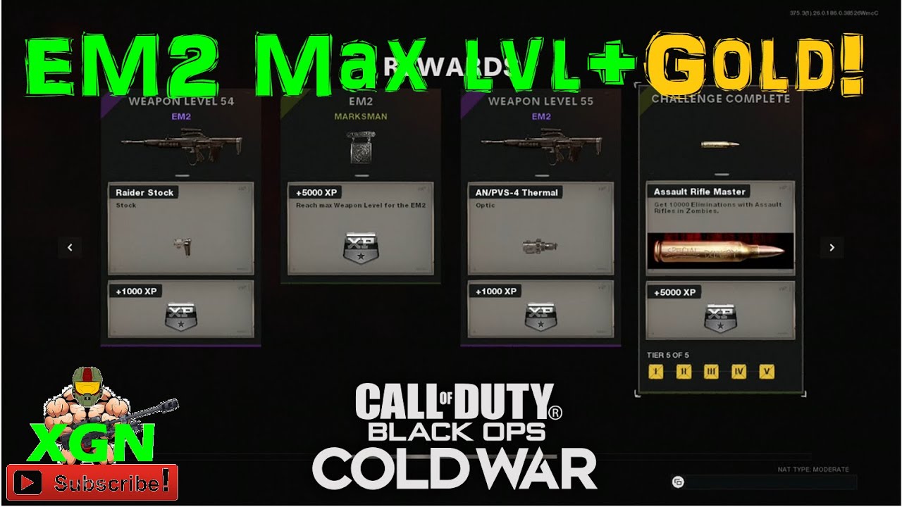 CoD Cold War EM2 AR Max Level + Golden Viper Camo unlocked! - YouTube