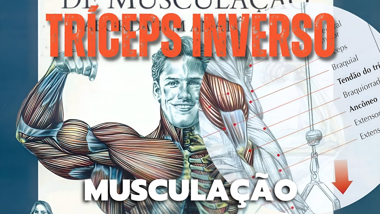 SOBRE o TRÍCEPS UNILATERAL INVERTIDO na POLIA | Musculação - YouTube