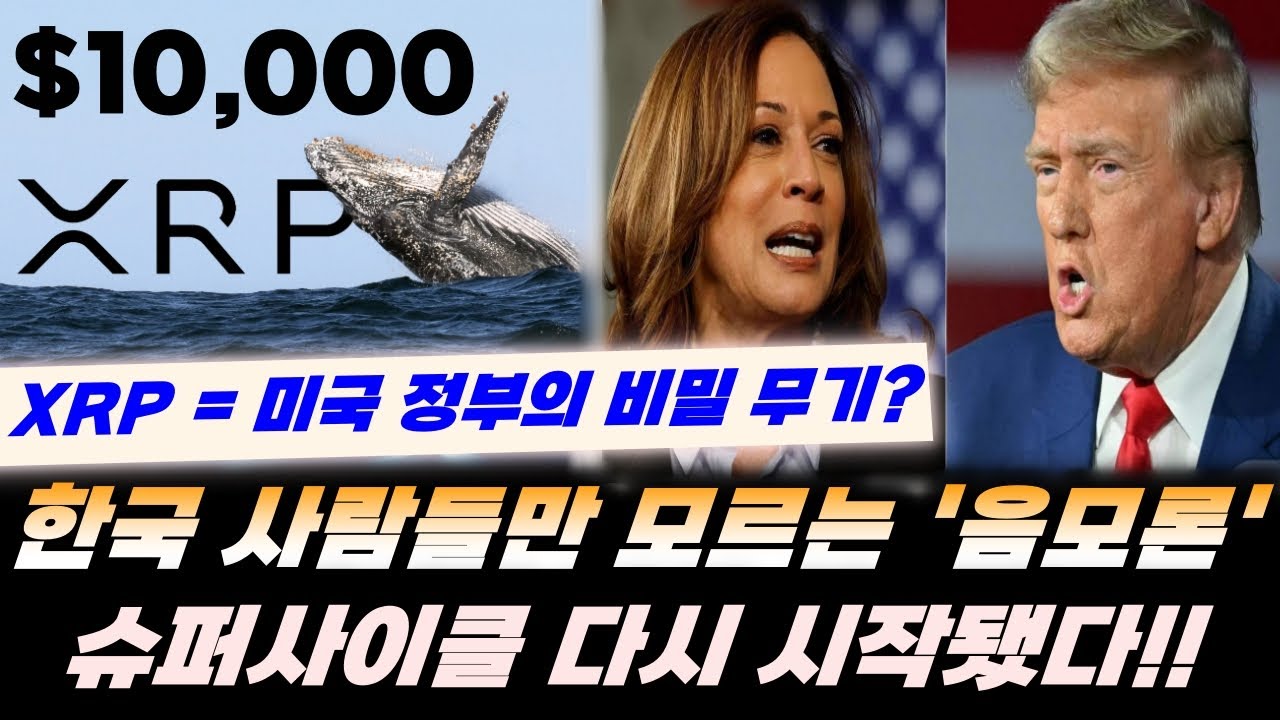 Xrp 미국 정부의 비밀 무기 한국만 모르는 리플 음모론 공개 해리스가 바뀌고 있다 비트코인 이더리움 리플