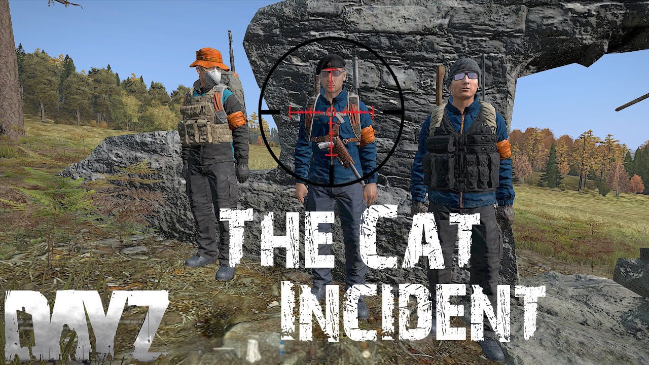 DayZ Underground - The Cat Incident - YouTube