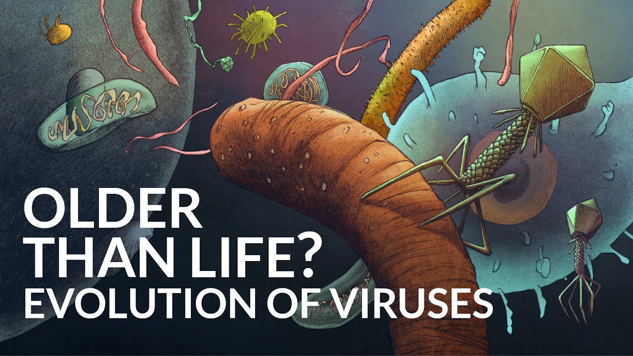 What Was The First Virus YouTube what-was-the-first-virus-youtube
