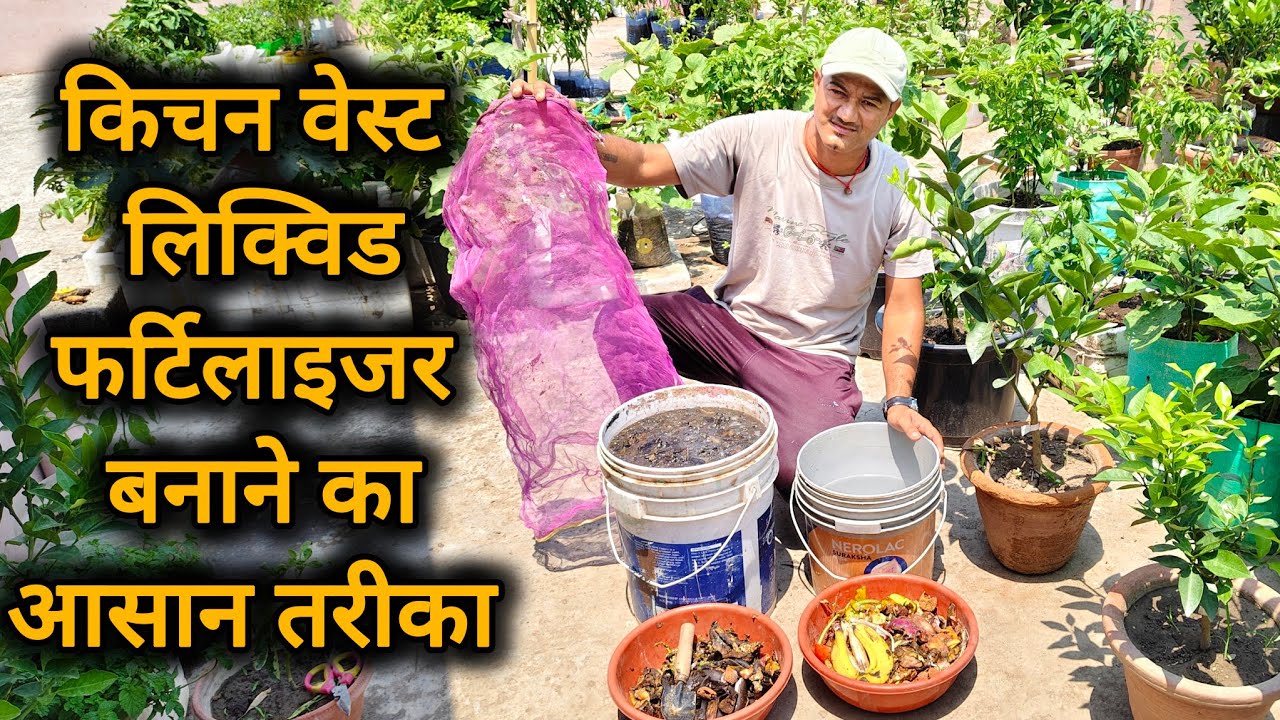 How To Make Kitchen Waste Liquid Fertilizer किचन वेस्ट लिक्विड ...