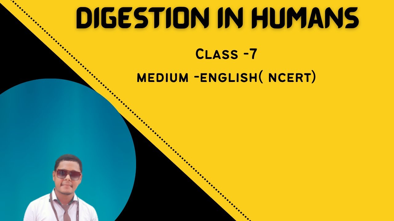 Digestion in humans | class -7 science| ncert | #class7 #science - YouTube