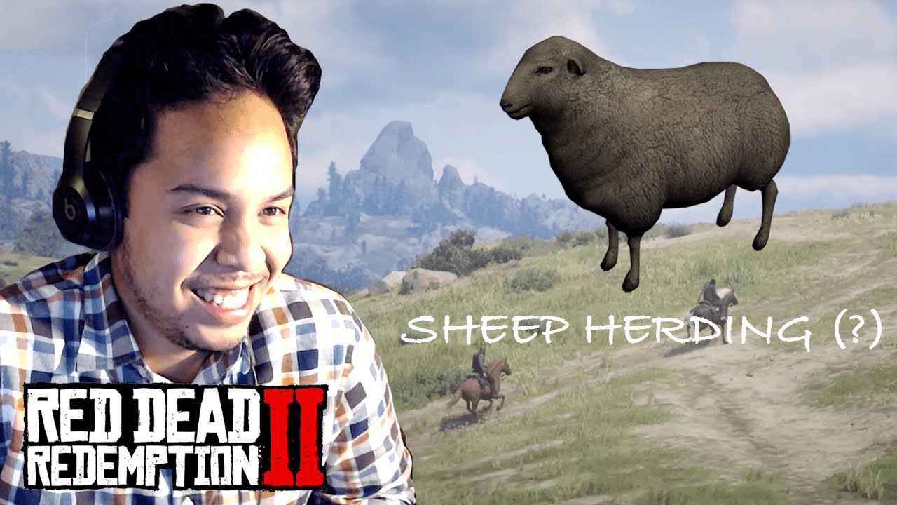 Sheep Herding in RDR2? - YouTube