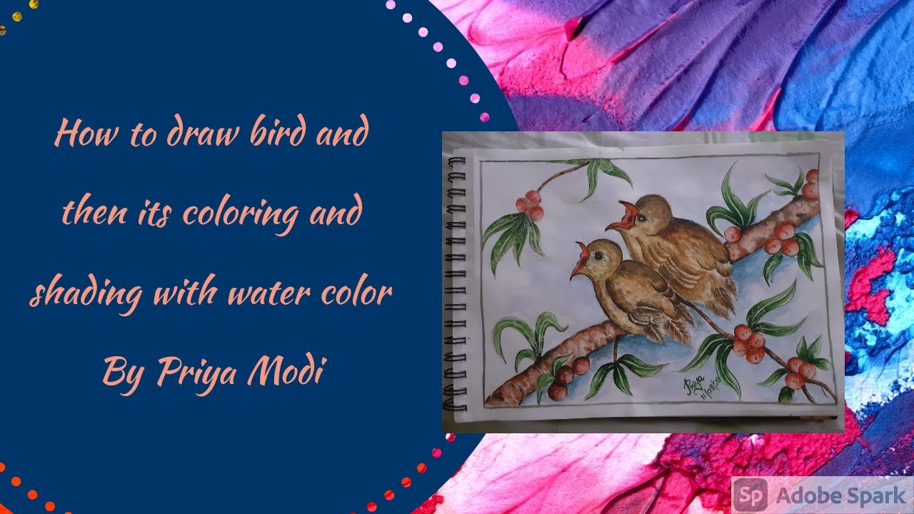 How to draw bird and then its coloring and shading with water color ...