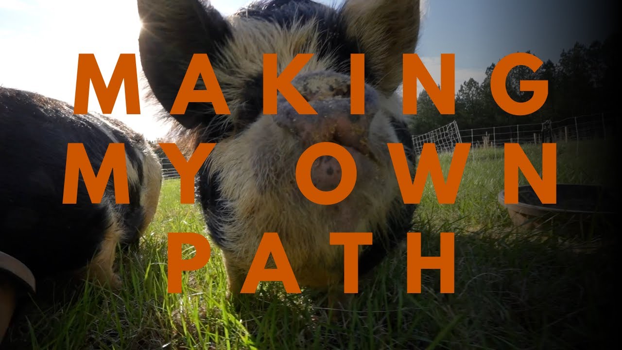 MAKING MY OWN PATH | MAKING MY LIFE SIMPLER - YouTube