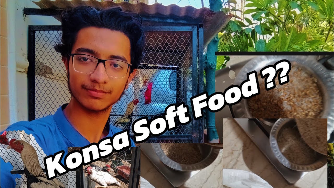 Konsa Soft Food?? 🧐🧐 - YouTube
