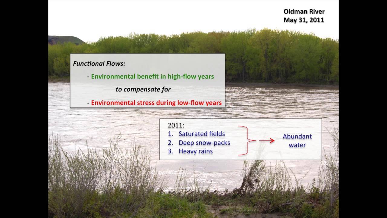Functional Environmental Flows: A Practical Strategy for Healthy Rivers ...
