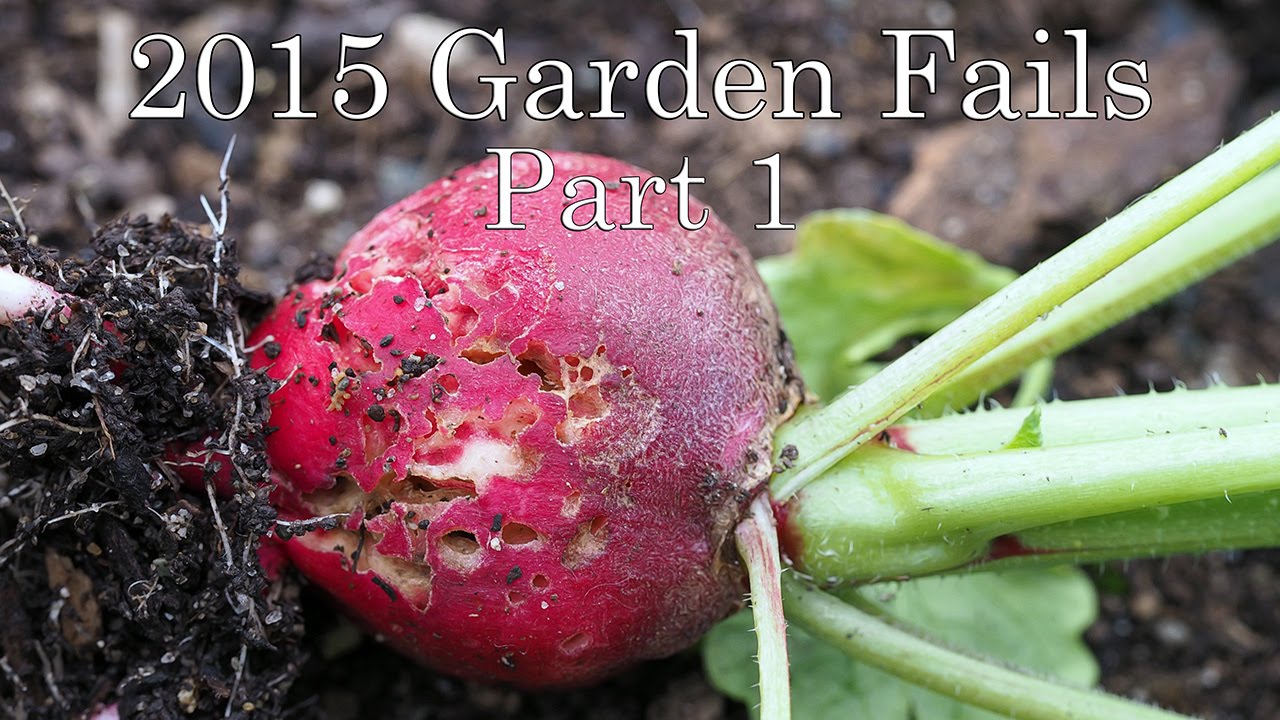2015 Garden Fails - Part 1 - YouTube
