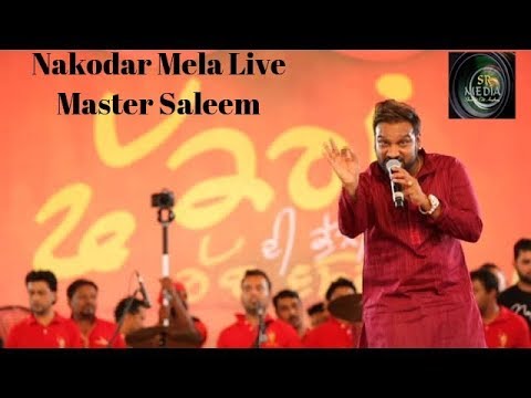 Master Saleem Live Show | Nakodar Mela Sep 2017 | Latest Live att ...