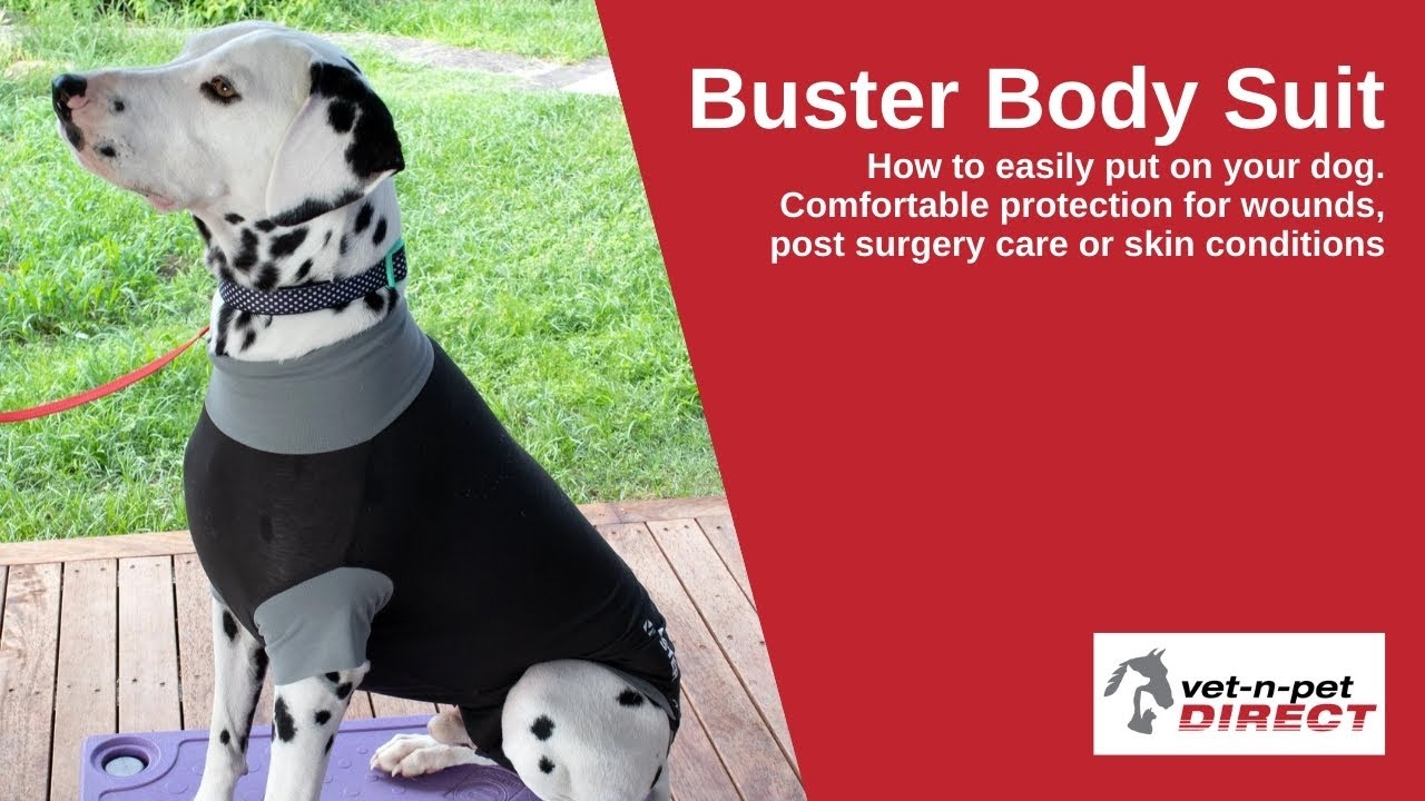 Buster Body Suit - YouTube