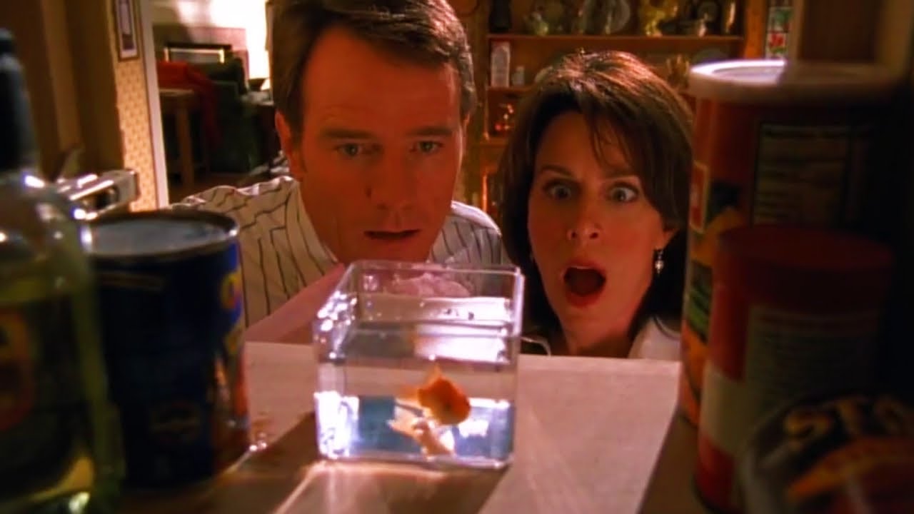 Lois, le promete un Perro a Dewey🩷……MALCOM EL DEL MEDIO CAPITULOS ...