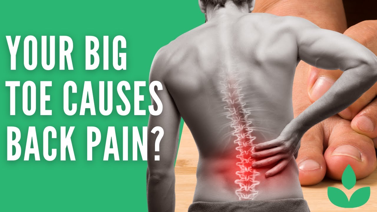 Your BIG TOE Causes Back Pain?! - YouTube