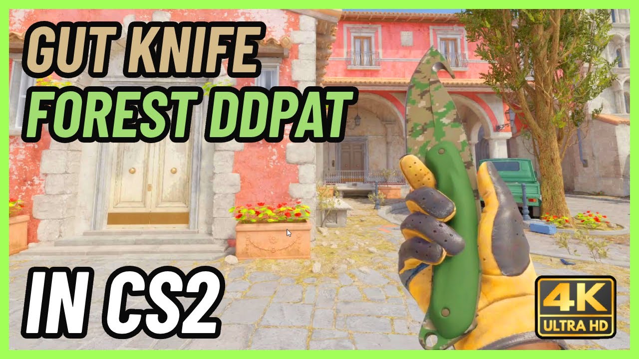 CS2 Gut Knife Forest DDPAT | CS2 Knife In-Game Showcase [4K] - YouTube