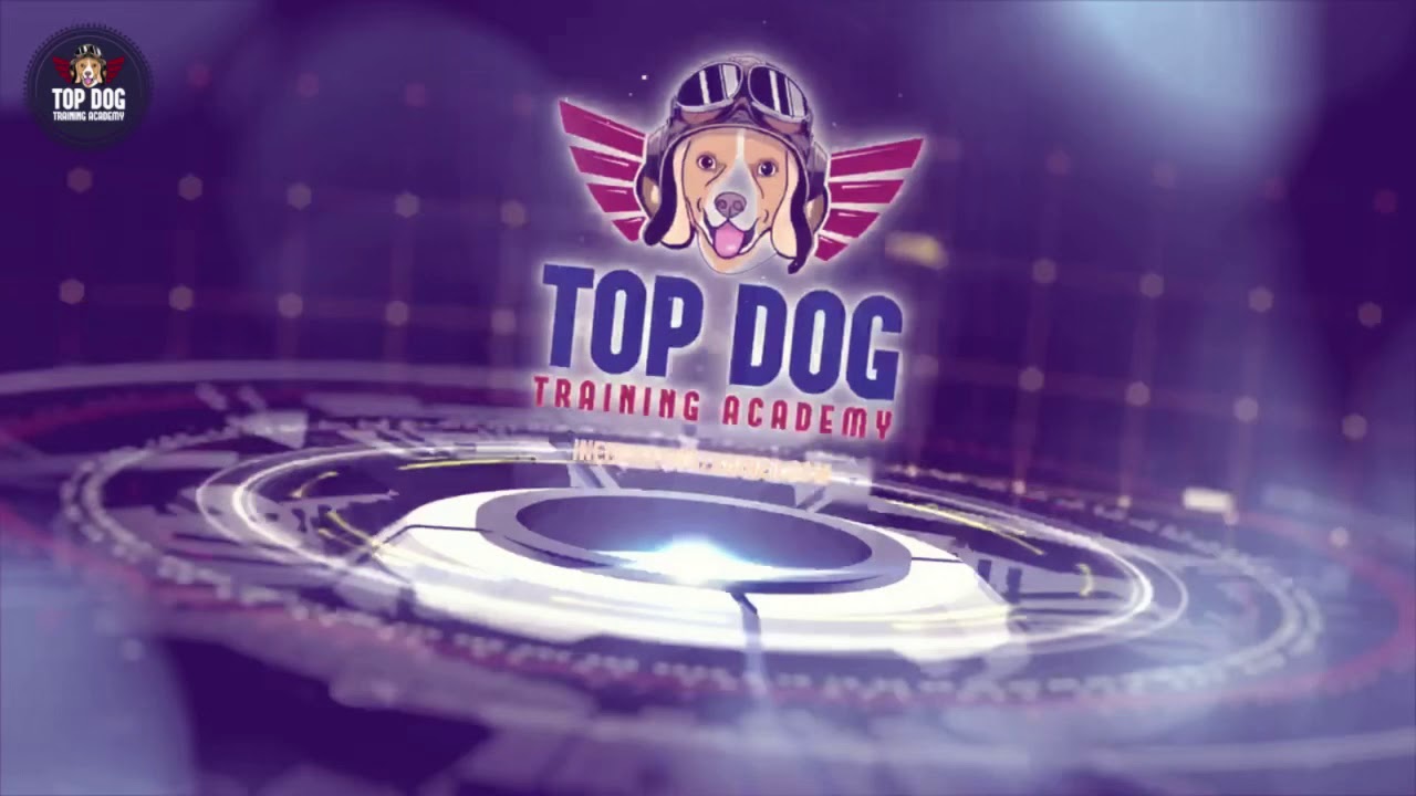 Nera: 2 Week BNT | Top Dog | Guaranteed Obedience | Best Louisiana Dog ...